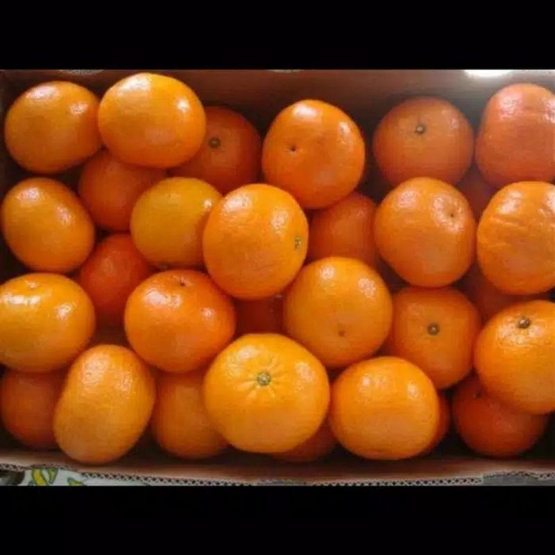 Jual Jeruk Honey Murcot Australia 1 Kg | Shopee Indonesia