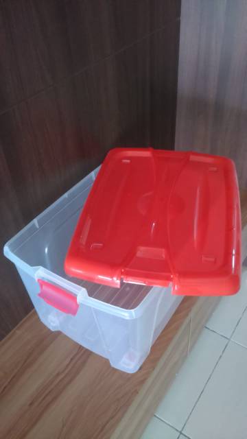 Jual Box Container Bening Solid 50 Liter+Roda | Shopee Indonesia