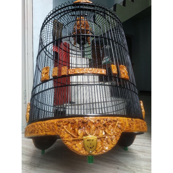 Jual sangkar kandang murai / sangkar murai batu / sangkar fiber ... Jual sangkar kandang murai / sangkar murai batu / sangkar fiber ...