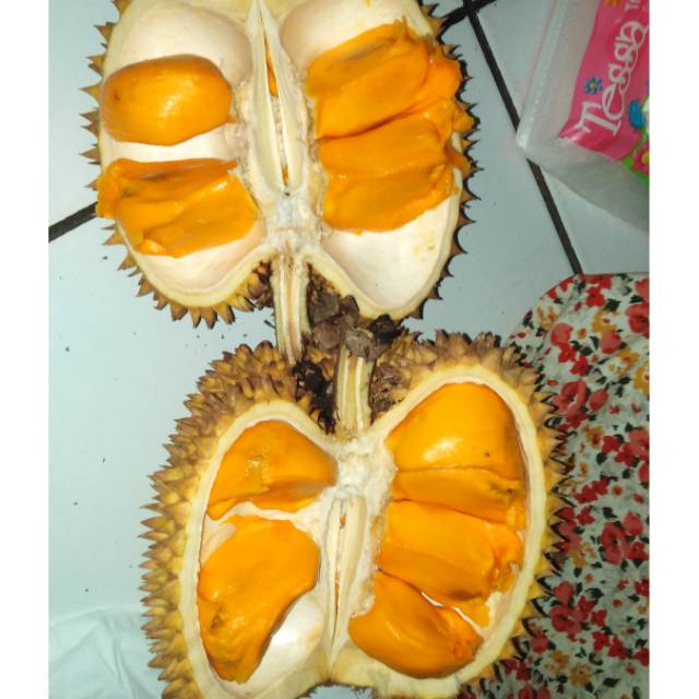 Jual Elai atau lai buah khas kalimantan | Shopee Indonesia