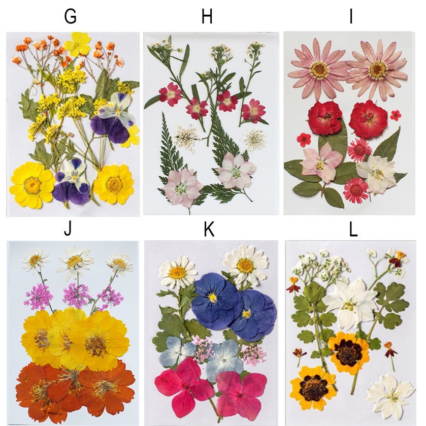 Jual Bunga Kering Set/Real Pressed Flower Mix Natural Dried Topping ...