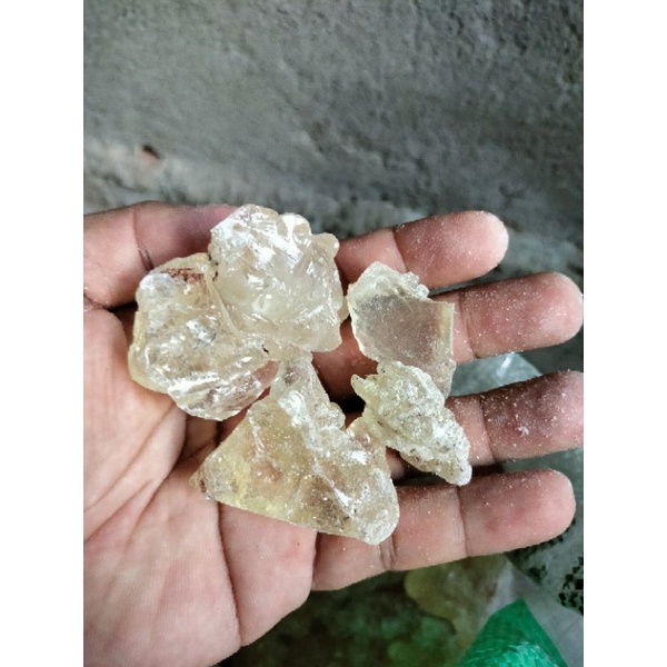 Jual 1kg Getah/Myrrh/Resin Damar Mata Kucing Asli Lampung | Shopee ...