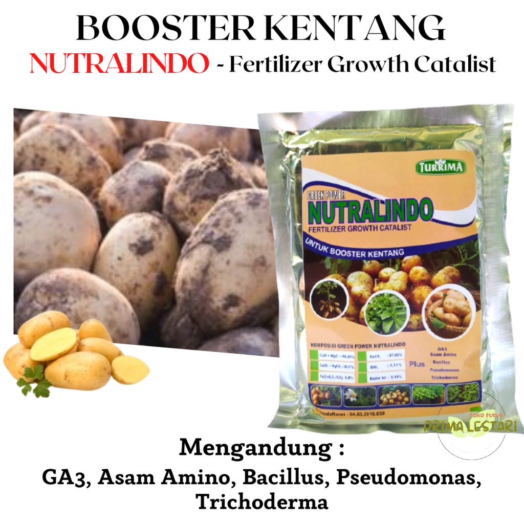 Jual Pupuk Perangsang Buah Kentang, Booster Kentang Berumbi Lebat ...