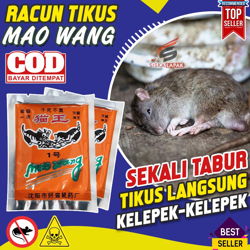 Cara Menggunakan Racun Tikus Mao Wang - Homecare24