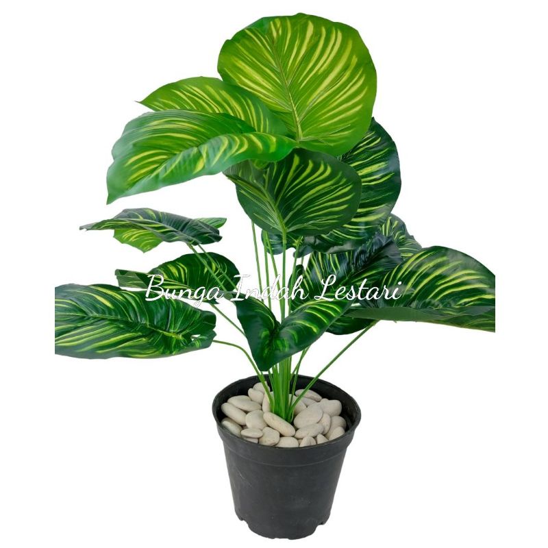 Jual Tanaman hias daun pohon monstera palsu plastik jumbo artificial ...