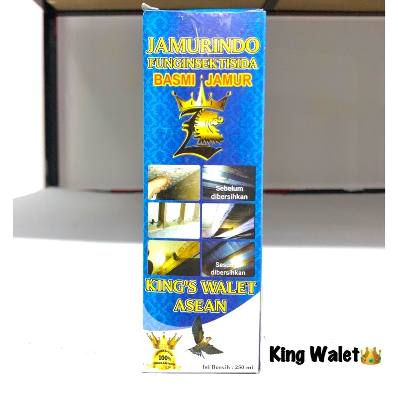 Harga Jamurindo Terbaru Agt 2025 | BigGo Indonesia