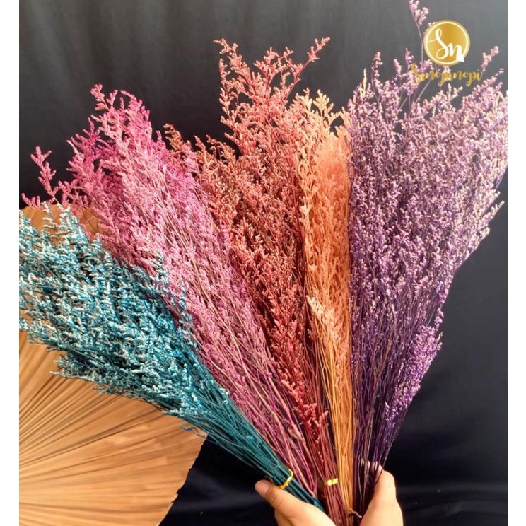 Jual BUNGA CASPEA WARNA KERING | DRIED FLOWER RUSTIC TANAMAN LAMARAN ...