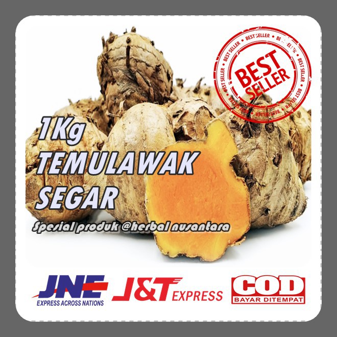 Jual RIMPANG TEMULAWAK SEGAR 1KG [ FRESH HERBAL ] | Shopee Indonesia