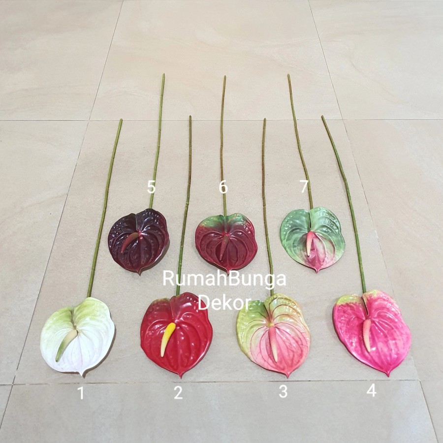 Jual bunga anthurium Harga Terbaik & Termurah Februari 2023 | Shopee ...