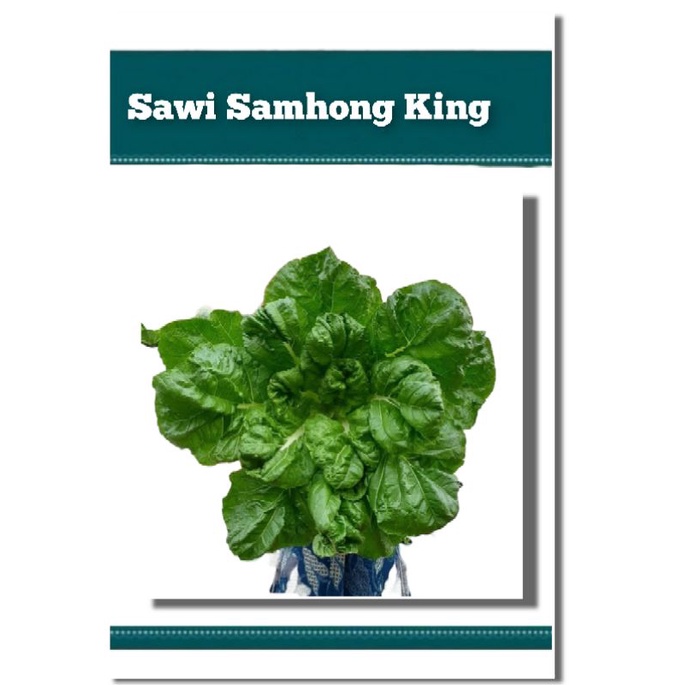 Jual Benih Sayuran Sawi Samhong King Cap Panah Merah F1 Hybrida ...