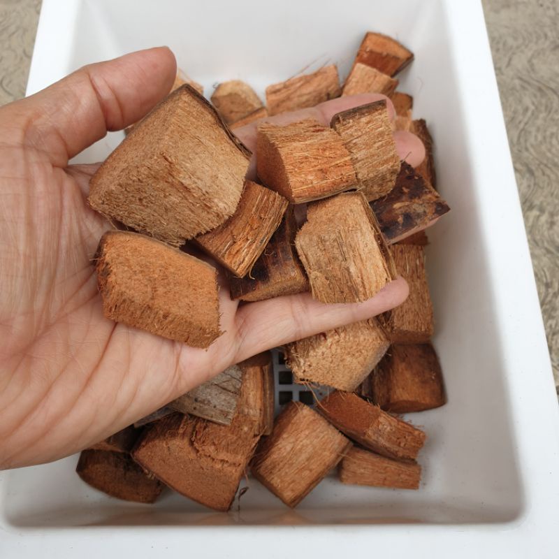 Jual Media Tanam Cocochip / Coco Chip / Sabut Kelapa | Shopee Indonesia
