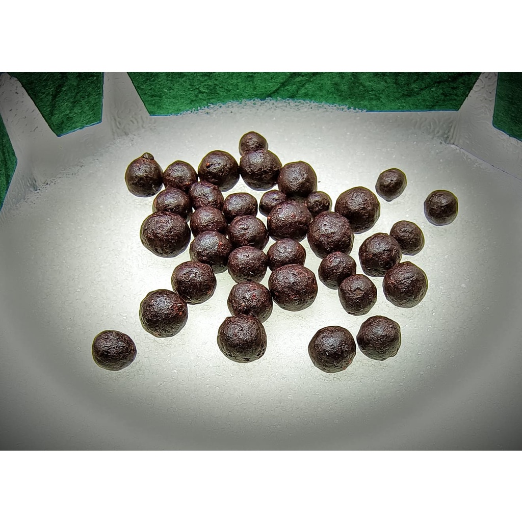 Jual Holy Dharma Pills, Blessed by Sangay Dorji Rinpoche | Shopee Indonesia