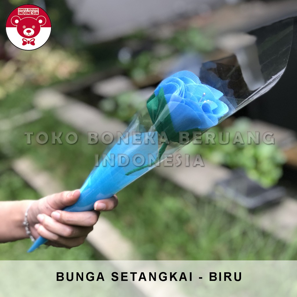 20+ Gambar Bunga Setangkai - Gambar Bunga Indah