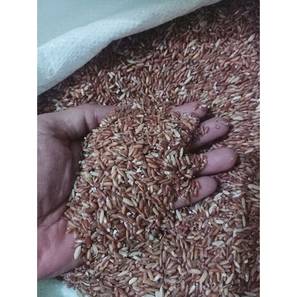 Jual Beras Merah 1 Kg Pakan Ayam Merpati | Shopee Indonesia