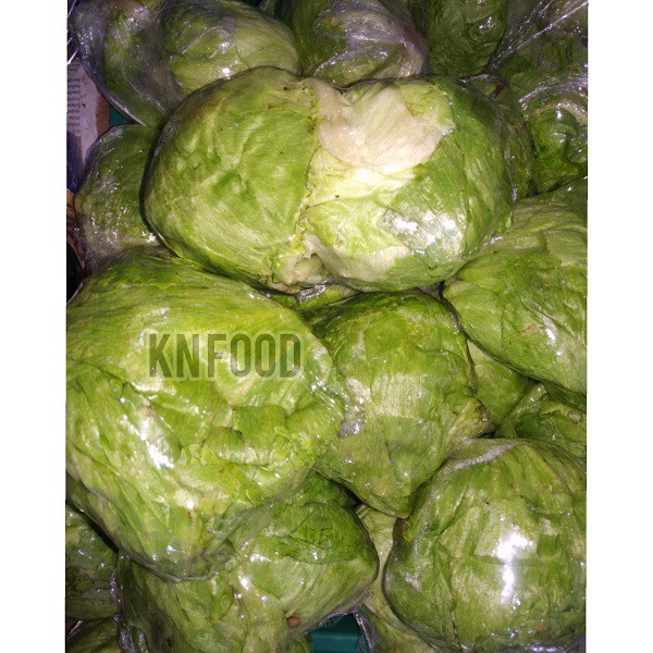 Jual Sayuran Kebab Letus/letuce 1 Kg | Shopee Indonesia