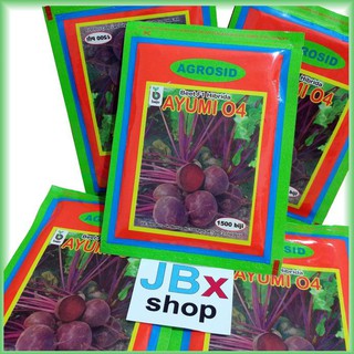 Jual Benih bibit beet root F1 hibrida Ayumi red beetroot bit merah ...