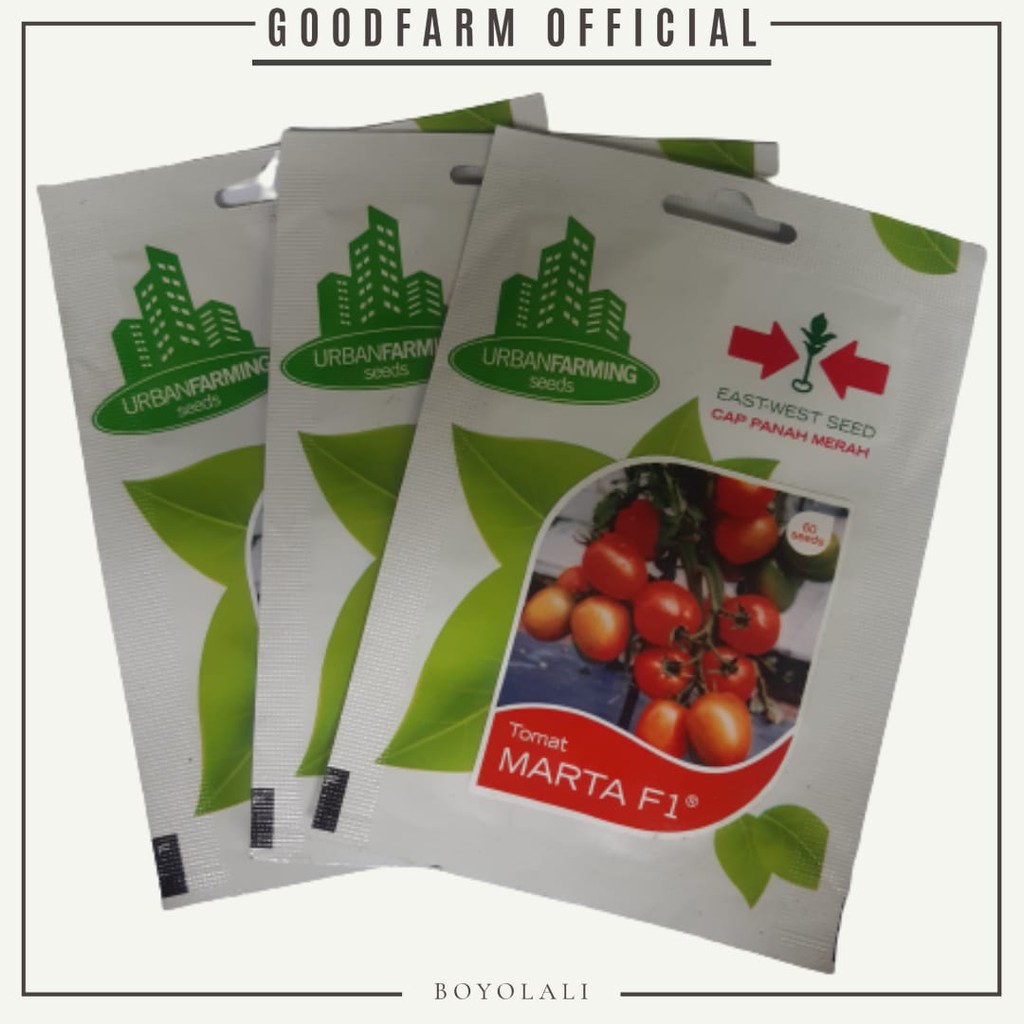 Jual BENIH TOMAT MARTA F1 KEMASAN URBAN FARMING PANAH MERAH | Shopee ...