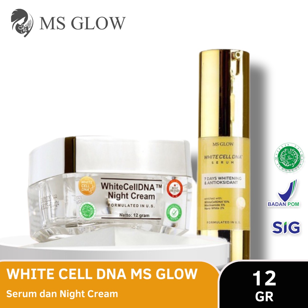 Jual (FREE GIFT) MS GLOW WHITE CELL DNA ORIGINAL | NIGHT CREAM WHITE CELL DNA MS GLOW | SERUM ...