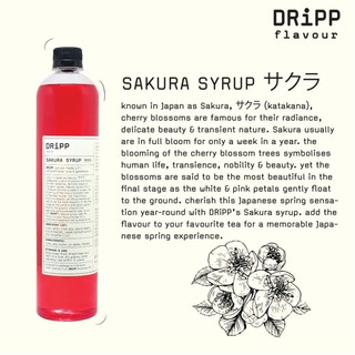 Jual DRiPP Sakura Flavour Syrup (Sirup Sakura) | Shopee Indonesia