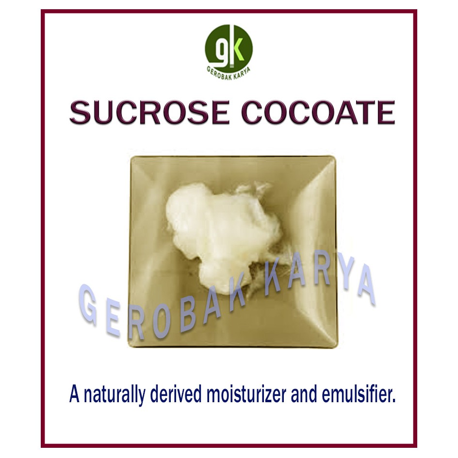 Jual SUCROSE COCOATE | 90 gr | Shopee Indonesia