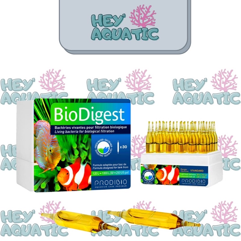 Jual PRODIBIO BIODIGEST ( 1 BOX 30 Ampul / Vial ) | Shopee Indonesia