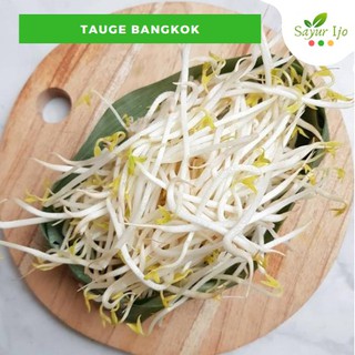 Jual Tauge Bangkok 500 Gram Fresh Grade A Toge Beansprout Sayur Hijau ...