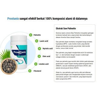 Jual Prostanix Obat Prostat Herbal - Obat Prostat Asli (Isi 30 Capsul ...