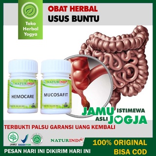 Jual Obat Usus Buntu Ampuh Tanpa Operasi Gangguan Usus Bermasalah ...