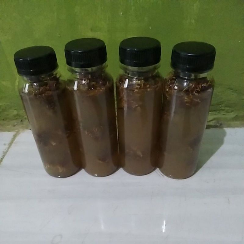 Jual Jamur JAKABA full dengan air jakaba, murah berkualitas | Shopee ...