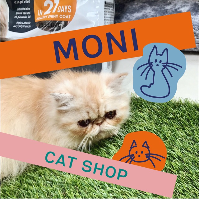 Produk Moni Cat Shop | Shopee Indonesia