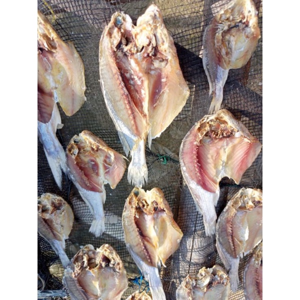 Jual ikan asin gerabah / belahan / gulama / samge 500 gr Indonesia ...