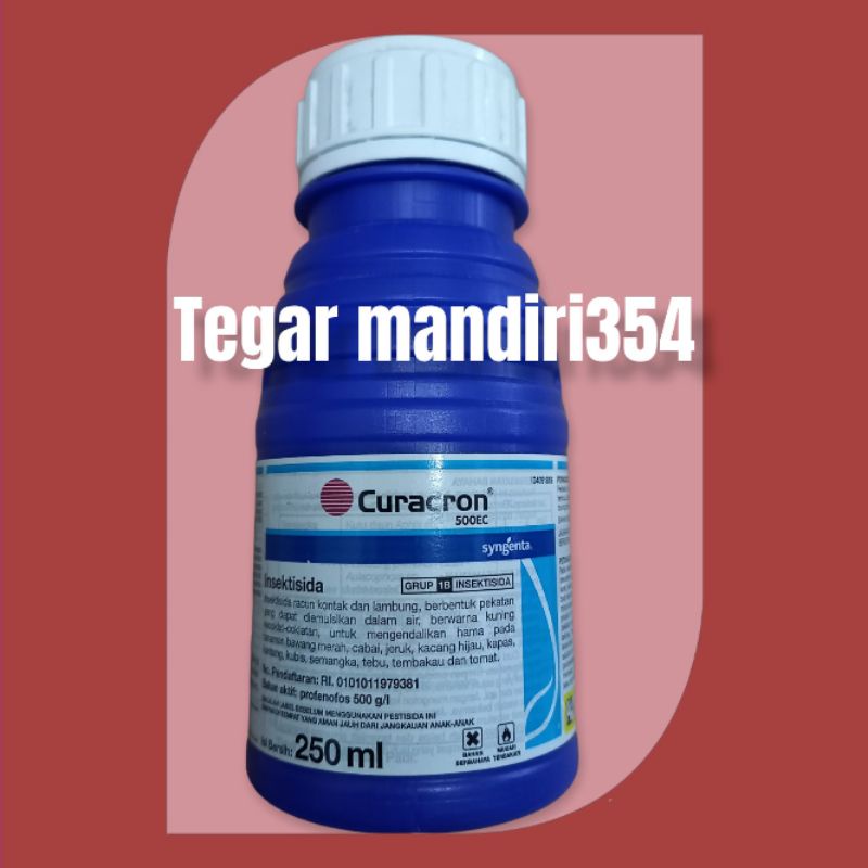 Jual INSEKTISIDA CURACRON 500EC 250ML Racun hama ulat curacron 250ml ...