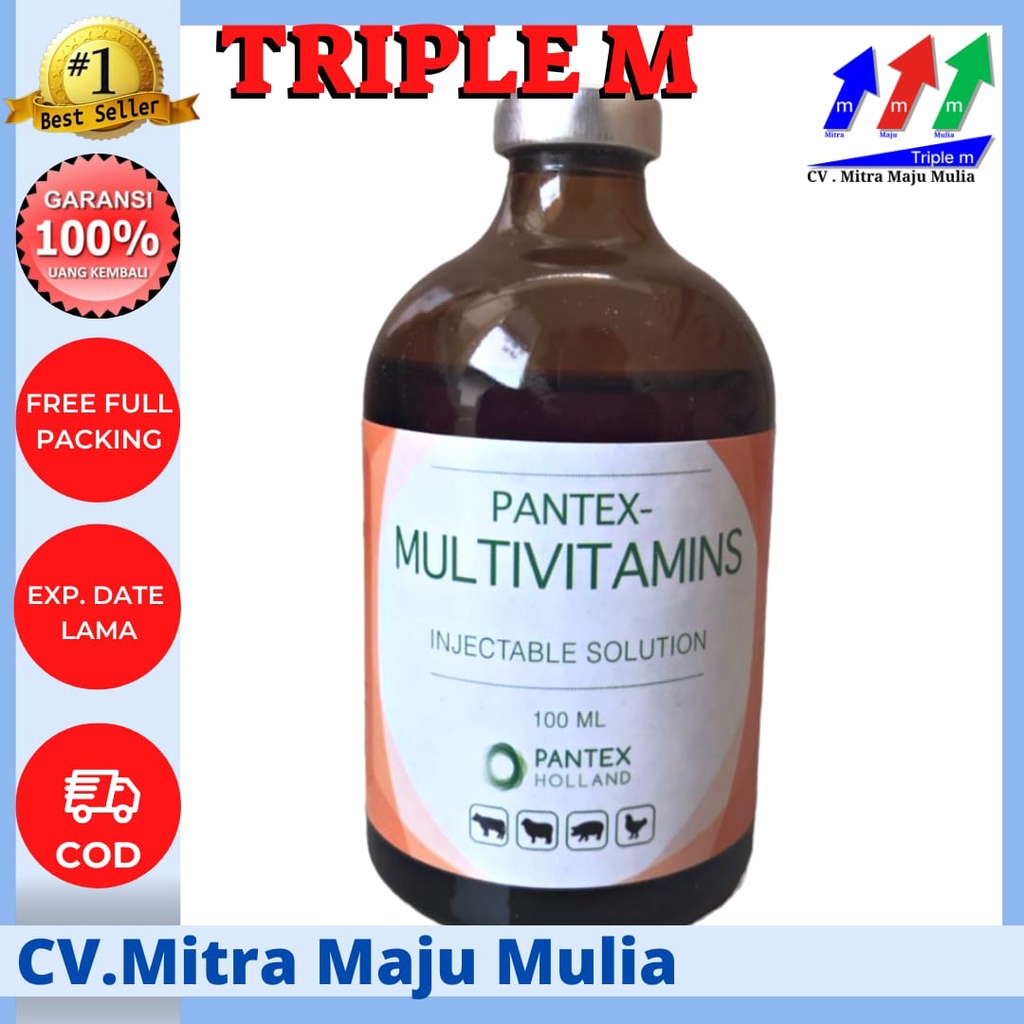 Jual Pantex multivitamin holland injeksi 100 ml | Shopee Indonesia