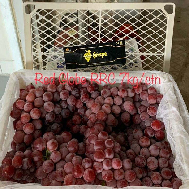 Jual Anggur Merah RRC Ganda Segar dan Sehat per Box 7 kg Rp. 270.000 ...
