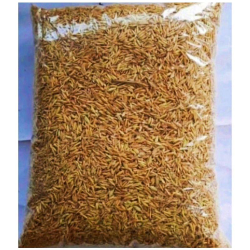 Jual sekam padi/ media tanam skam 1kg | Shopee Indonesia