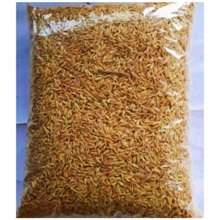 Jual sekam padi/ media tanam skam 1kg | Shopee Indonesia