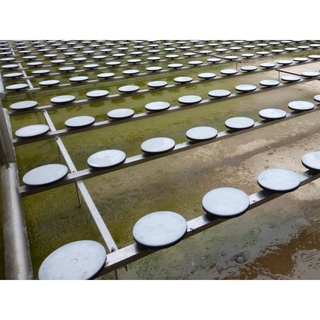 Jual Disch Diffuser EPDM Membrane Aerasi Kolam Ikan IPAL Made in ...