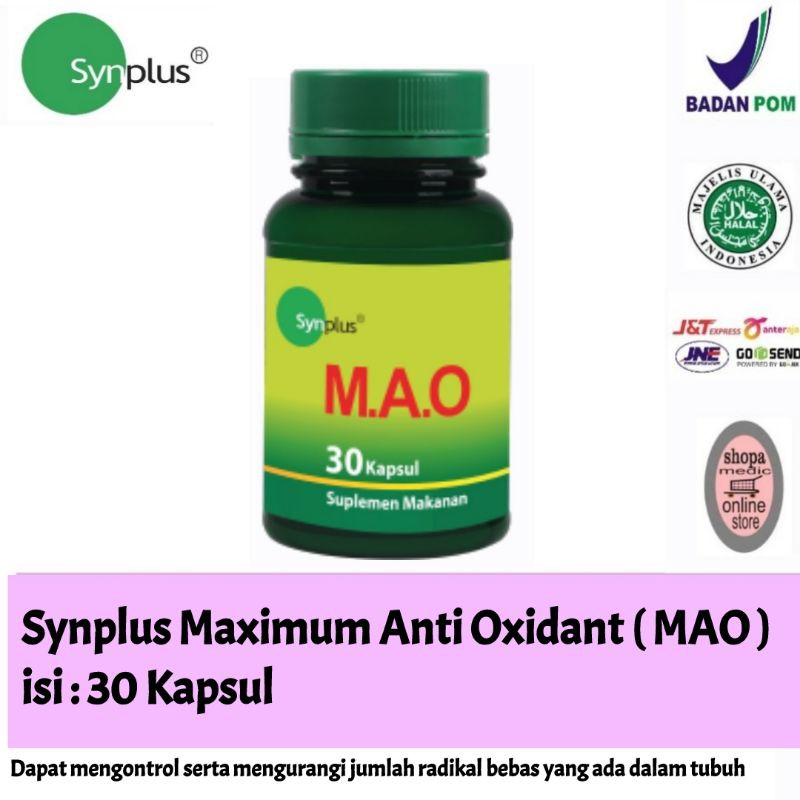 Jual Synplus Maximum Anti Oxidant ( MAO ) ( isi : 30 Kapsul ) | Shopee ...