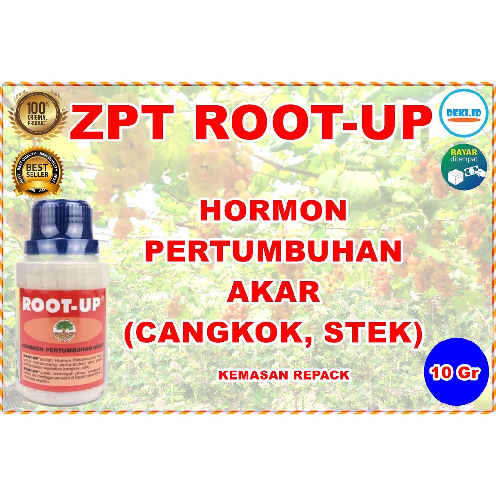 Jual Root Up 10 Gram Kemasan Repack Hormon Perangsang Pertumbuhan Akar ...