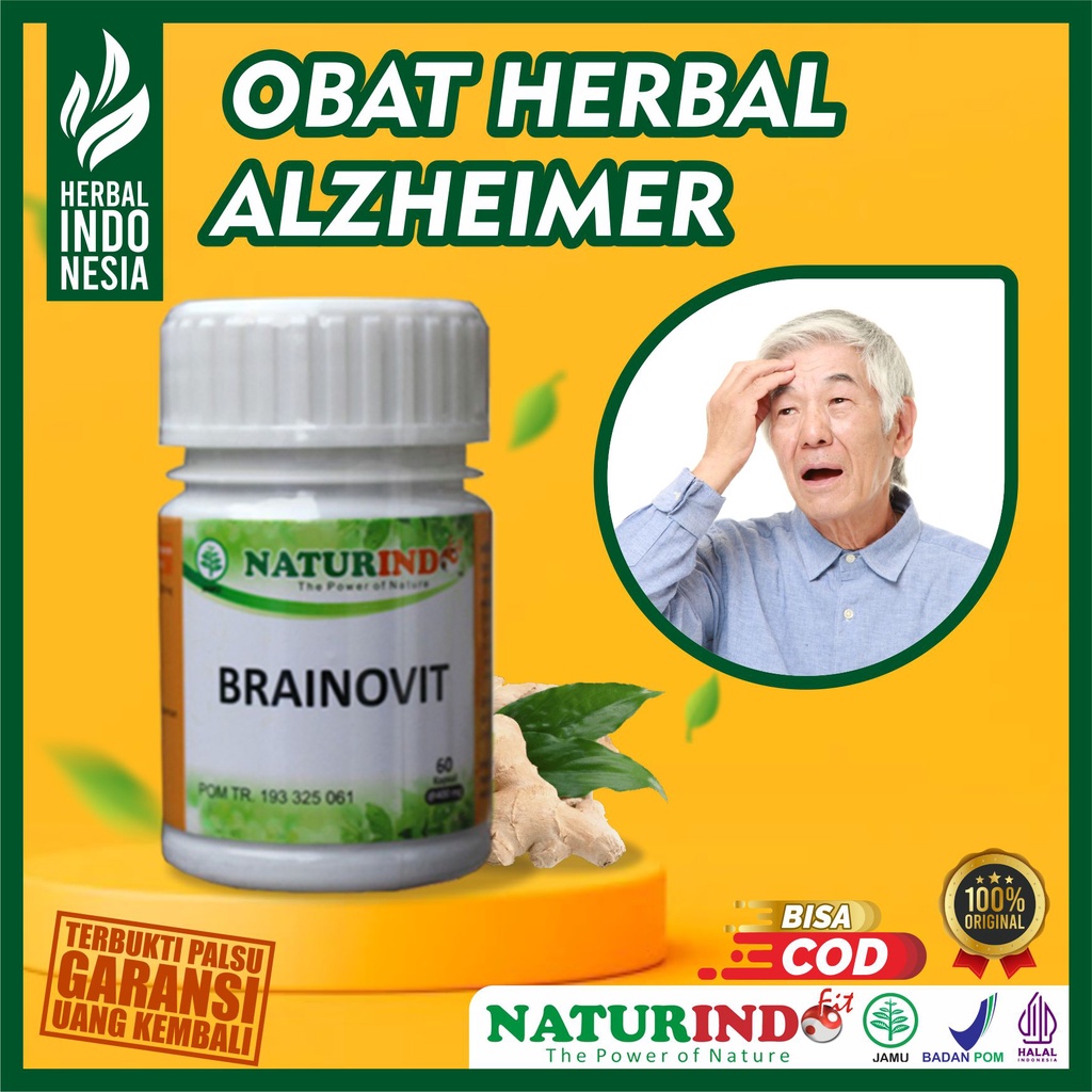 Jual Obat Alzheimer Lupa Ingatan Dewasa Dan Lansia Herbal Bpom Mui ...