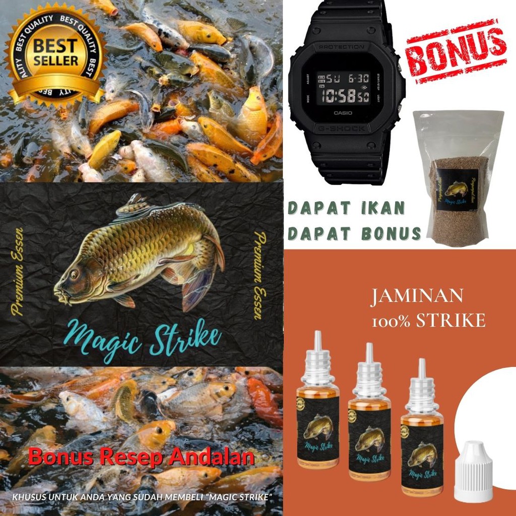 Jual Essen ikan mas magic strike babon rame + pengumpul ikan | Shopee ...