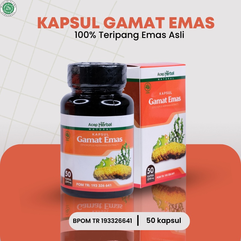Jual Kapsul Gamat Emas - Obat Nyeri testis, Testis bengkak , Obat Nyeri ...