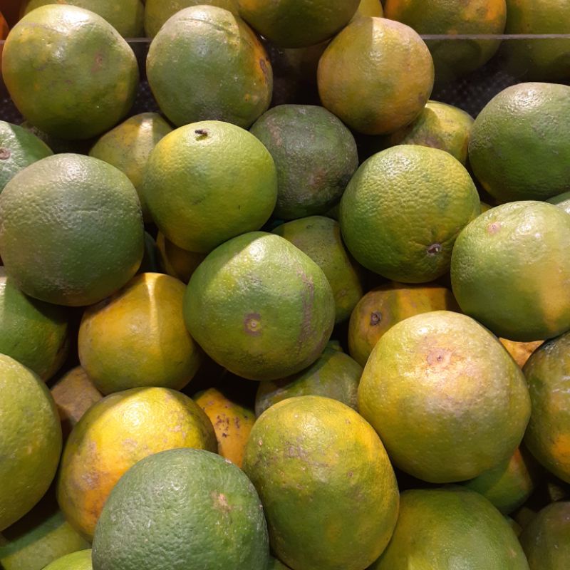 Jual Jeruk Baby Pacitan/kg Indonesia|Shopee Indonesia