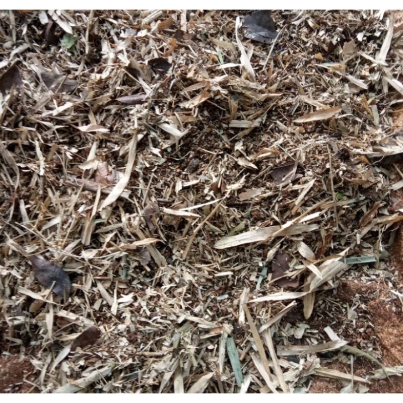 Jual media tanam humus daun bambu fermentasi | Shopee Indonesia