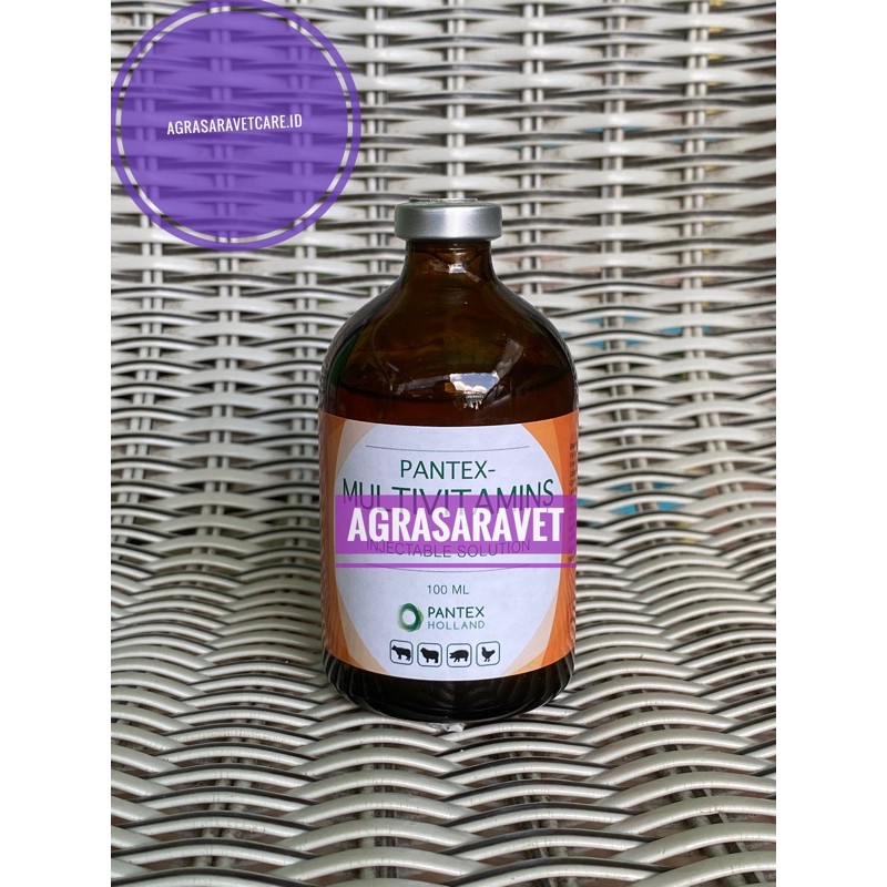 Jual Pantex multivitamin holland injeksi 100 ml Indonesia|Shopee Indonesia