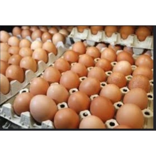 Jual Telur Ayam Horn Per 10 pcs | Shopee Indonesia