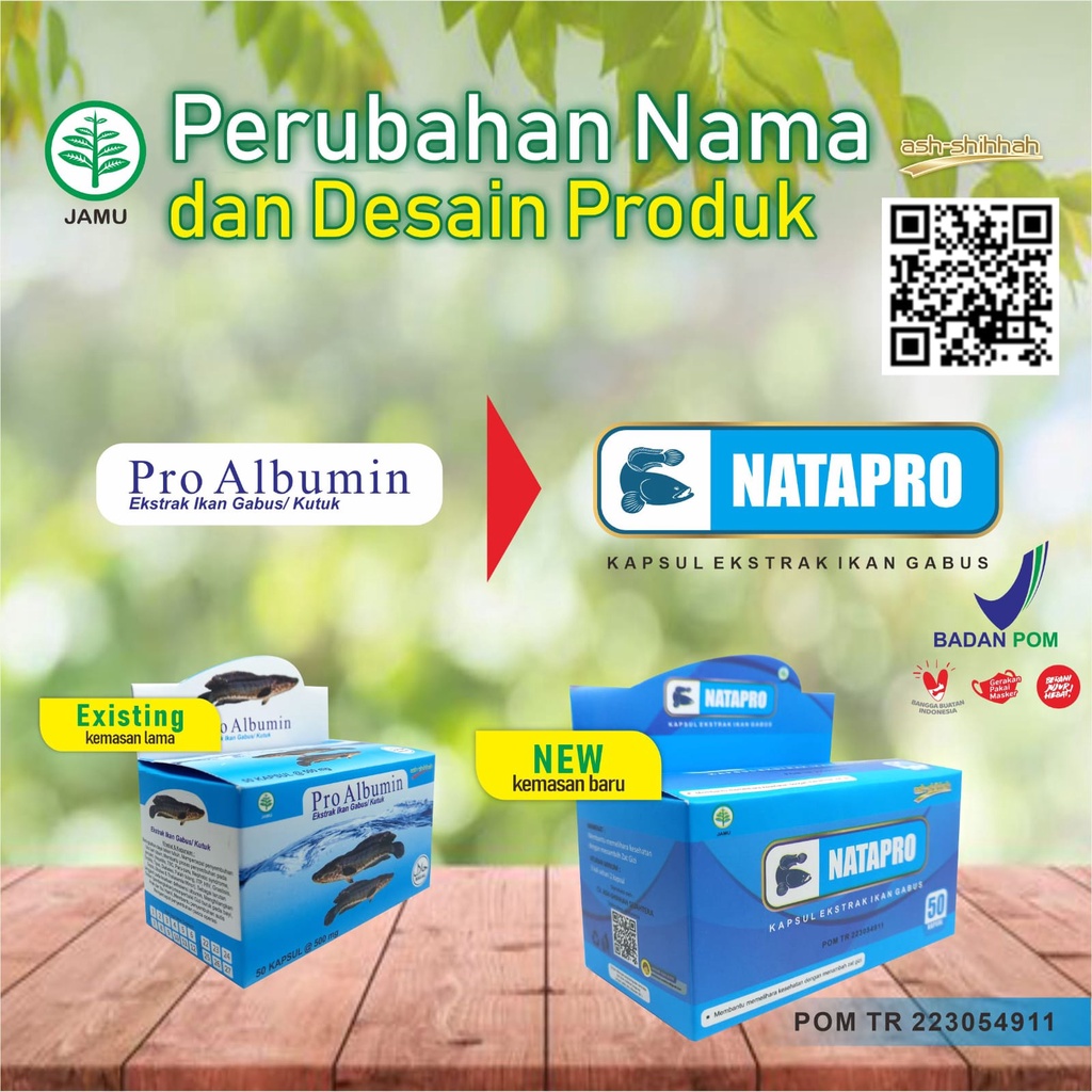 Jual Natapro (Dulu Pro Albumin) Ash-Shihhah Kapsul Ekstrak Ikan Gabus ...