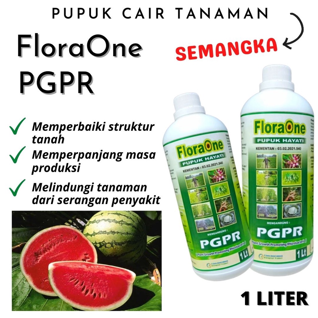 Jual Pupuk PGPR Rhizobium SP Hayati Terbaik, Pupuk Semangka Agar Manis ...