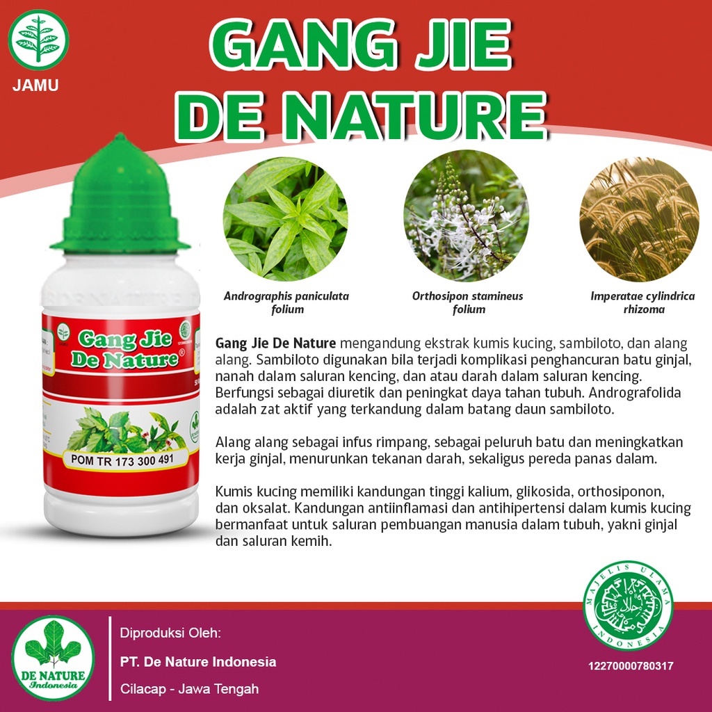 Jual Obat ISK Infeksi Saluran Kemih Kencing De Nature | Shopee Indonesia