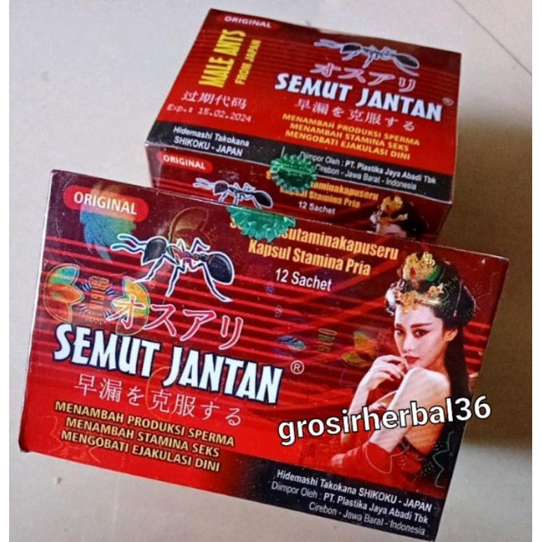 Jual Semut Jantan Kapsul Original - Isi 12 Sachet | Shopee Indonesia